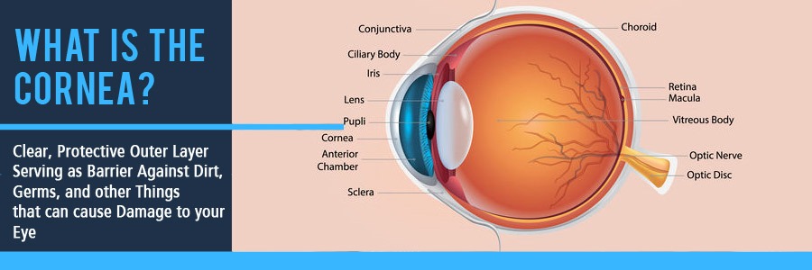 Medications Affecting the Cornea